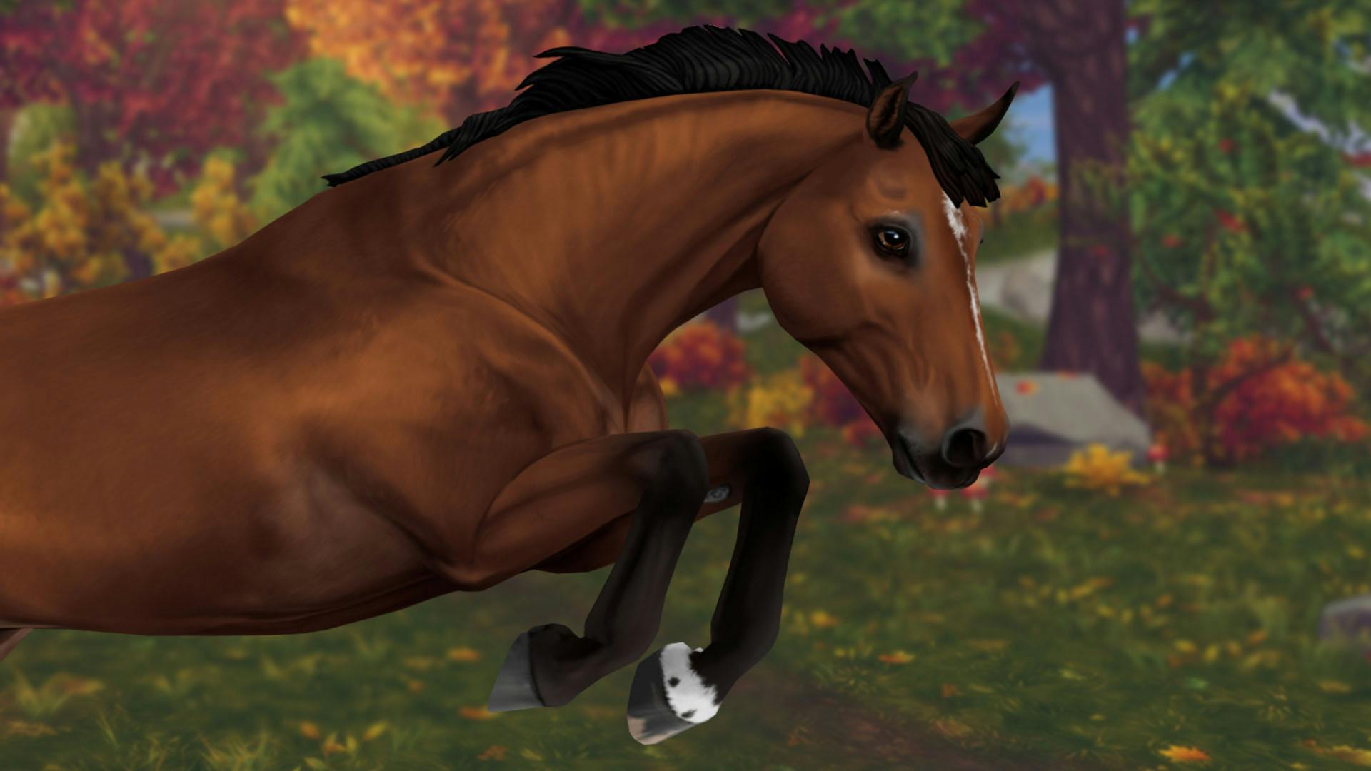 H&M We Love Horses x Star Stable 2022 | Star Stable H&M We Love Horses x Star Stable 2022 | Star Stable