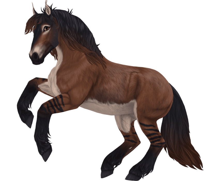 Jorvik Wild Horse | Horse breed | Star Stable Jorvik Wild Horse | Horse breed | Star Stable