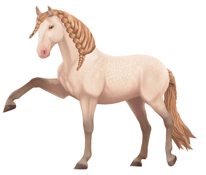 Andalusian | Horse breed | Star Stable
