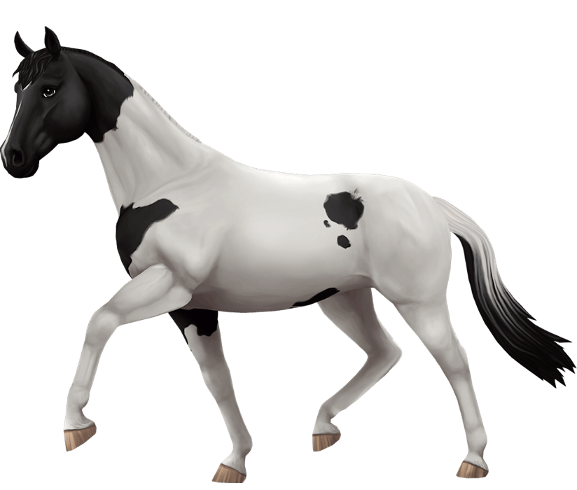 Trakehner | Horse breed | Star Stable