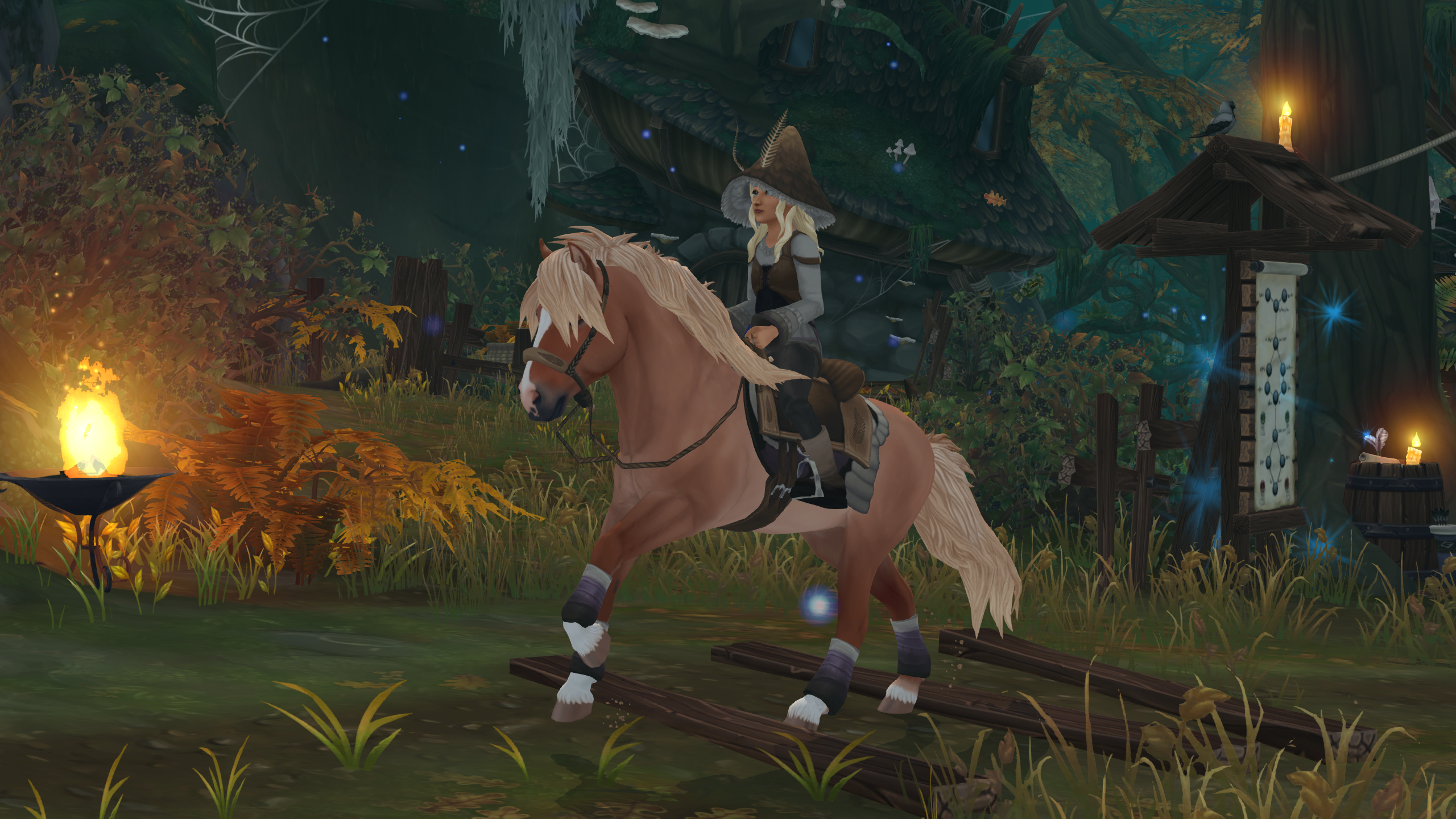 System wyposażenia i bazar! | Star Stable