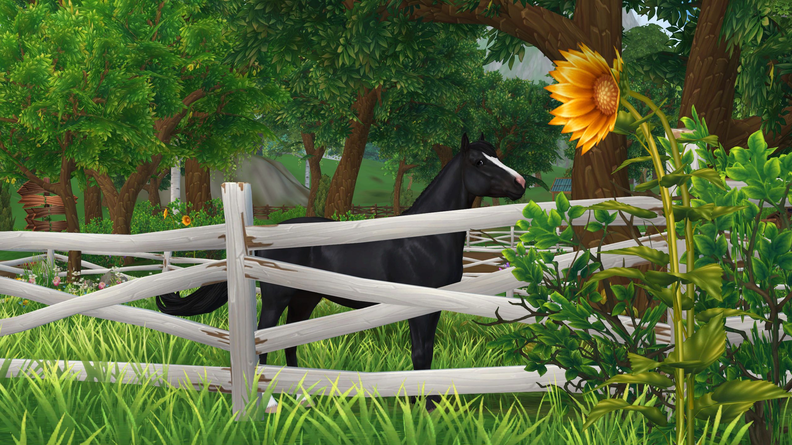 Puslespil og ponyer! | Star Stable